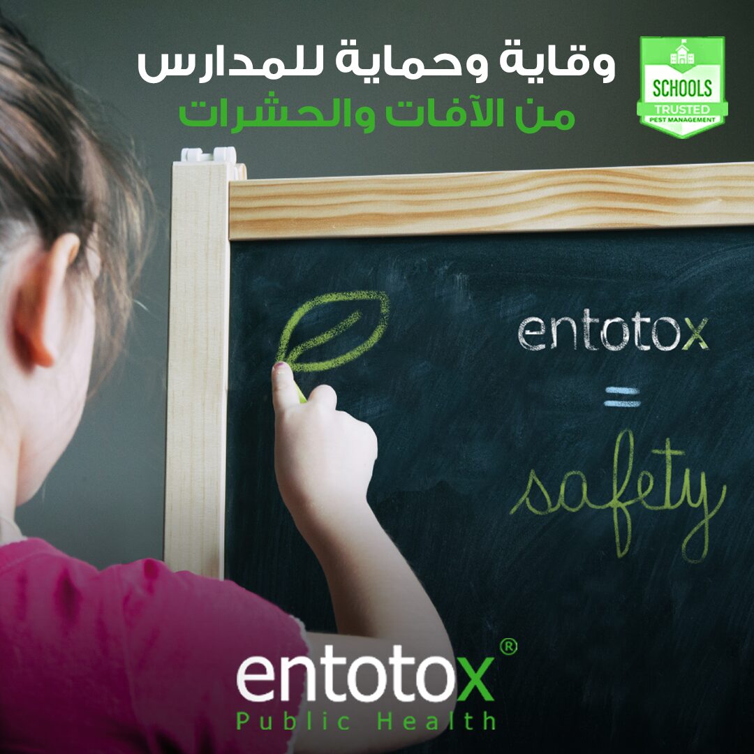 توصيات انتوتوكس في المكافحة الآمنة واستعدادات للعام الدراسي - Entotox ...